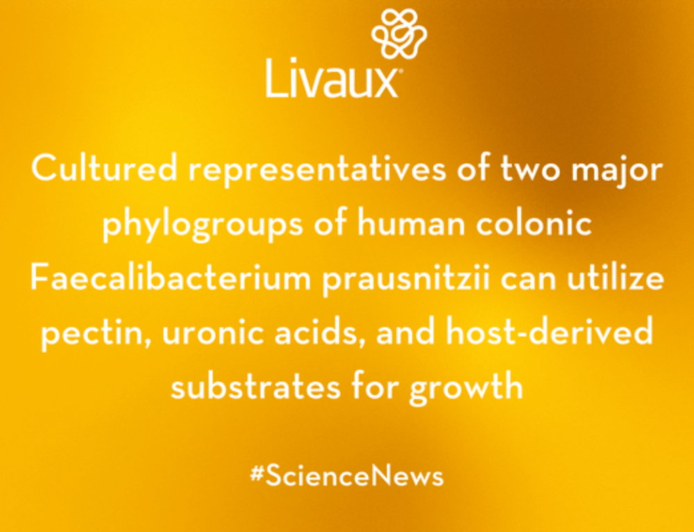 Microbiome Labs synbiotic formulation Livaux® & Actazin®